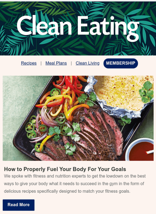 Top 15 Health & Wellness Newsletters on Paved