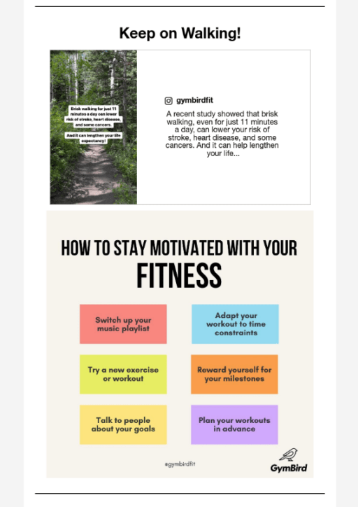Top 15 Health & Wellness Newsletters on Paved