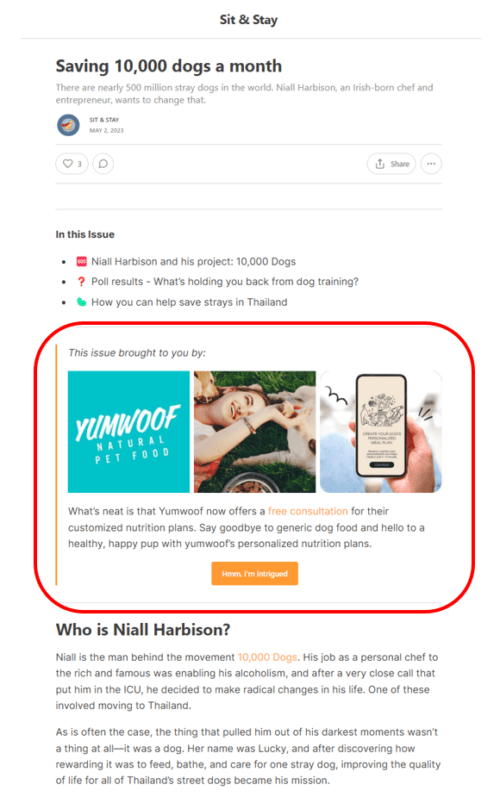 The Ultimate Guide to Substack Advertising