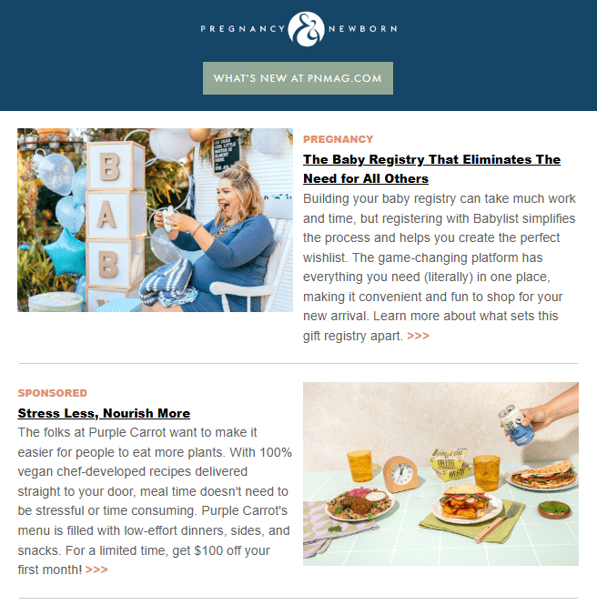 How Much Does Newsletter Advertising Cost? - Paved Blog